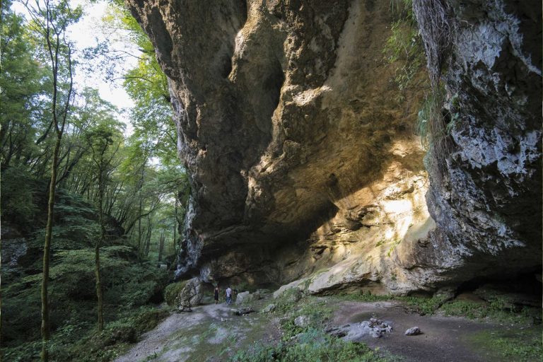 Sentiero dei Landris - app PNDF